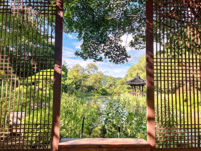 Seoul: Alpaca World, Nami Island, Railbike, Garden/Park - Who Will Love This Tour?