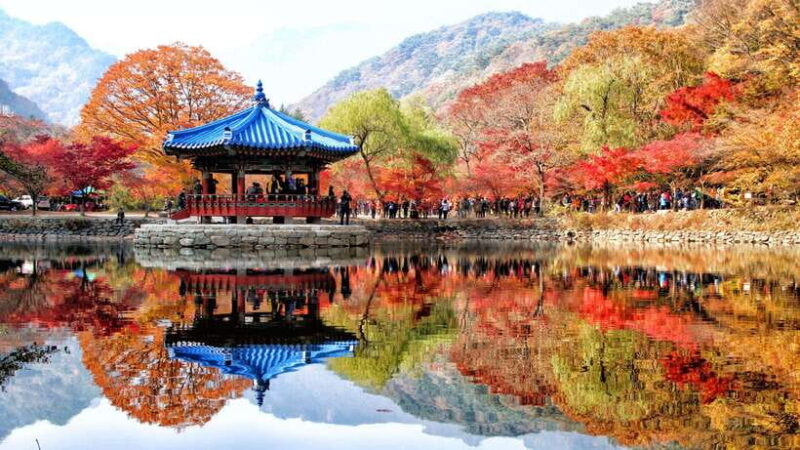 Seoul: Autumn Foliage - Mt. Naejang + Jeonju Hanok Village - Analyzing the Value