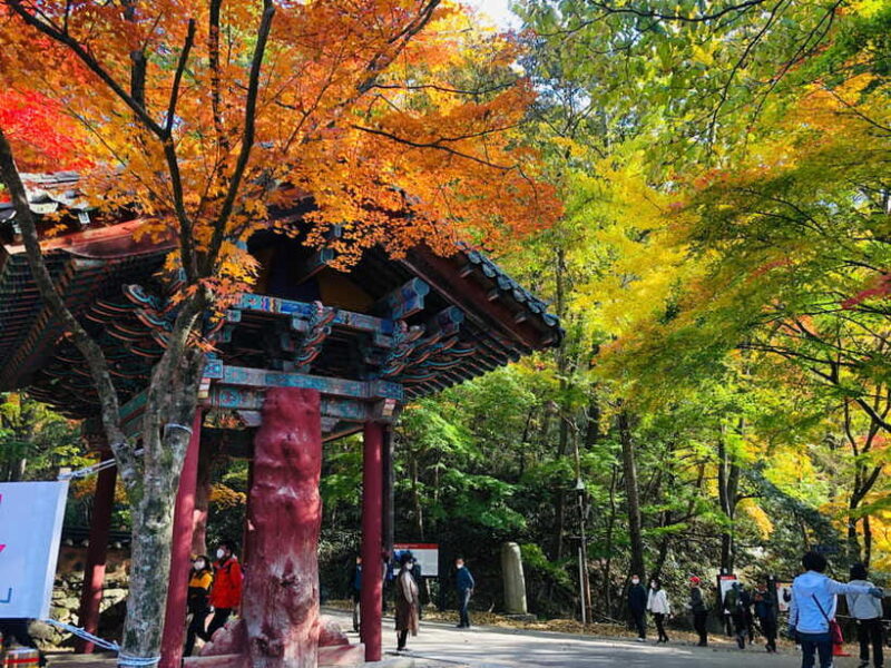 Seoul: Autumn Foliage - Mt. Naejang + Jeonju Hanok Village - Final Thoughts