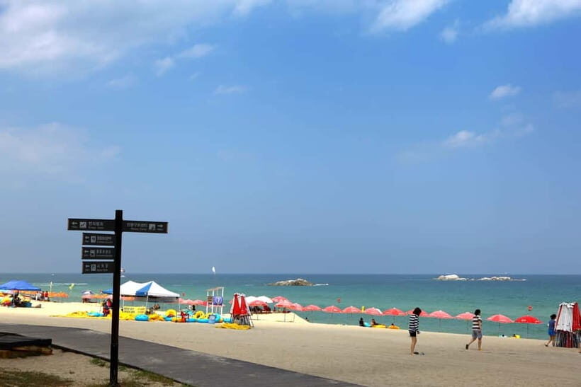Seoul: BTS Gangneung Fan Tour & Ulleung Island Escape - FAQ