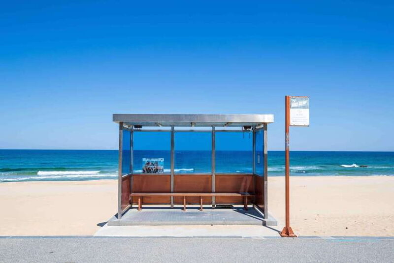 Seoul: BTS K-Pop Star Footsteps Journey Day Tour - Comprehensive Review of the Seoul: BTS K-Pop Star Footsteps Journey Day Tour