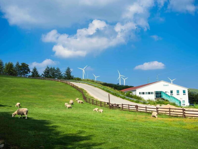 Seoul: BTS K-Pop Star Footsteps Journey Day Tour - Practical Tips for Participants