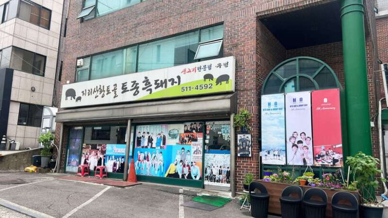 Seoul: BTS K-Pop Star Footsteps Journey Day Tour - Who Will Love This Tour?