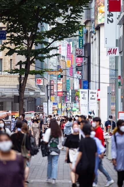 Seoul: Bus & Minivan Tours - An In-Depth Look at the Experience