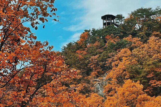 Seoul City Highlights Tour: Hanok Village, Scenic Routes - What Travelers Are Saying