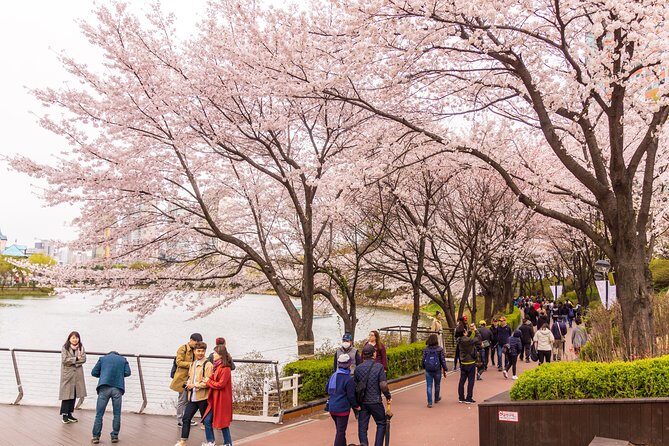 Seoul City Tour - Free Photo Service - The Itinerary in Detail: What You Can Expect