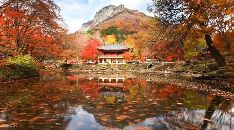 Seoul: Classic Naejangsan National Park Shuttle Bus - Key Points