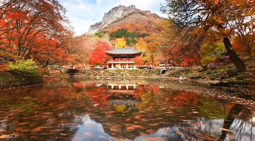 Seoul: Classic Naejangsan National Park Shuttle Bus - Introduction to the Experience