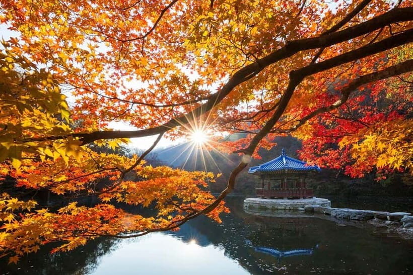 Seoul: Classic Naejangsan National Park Shuttle Bus - Who Should Consider This Tour?