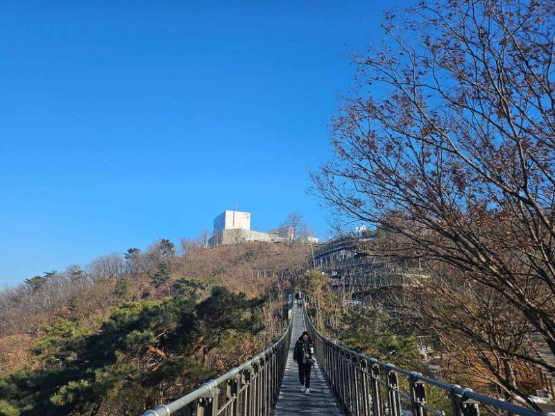 Seoul: Closest DMZ Observatory with North Korea View (1.4km) - Authentic Traveler Perspectives