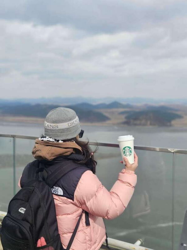 Seoul: Closest DMZ Observatory with North Korea View (1.4km) - Final Thoughts: Is This Tour Right for You?