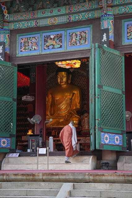 Seoul: Customized Private Walking Tour with a Local Guide - The Experience and Value Proposition