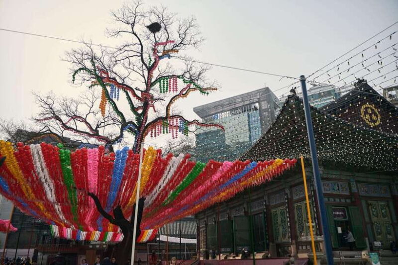 Seoul : Discovery of Old & Modern Seoul, Stories and Music - Who Is This Tour Best Suited For?