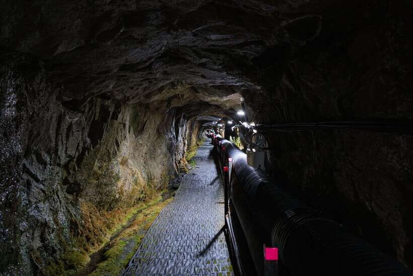 Seoul: DMZ 2nd Tunnel and Suspension Bridge Tour - FAQ