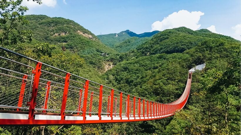 Seoul: DMZ, 3rd Tunnel and Optional Suspension Bridge Tour - The Full Experience: What to Expect on the Tour