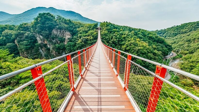 Seoul: DMZ, 3rd Tunnel and Optional Suspension Bridge Tour - Final Thoughts
