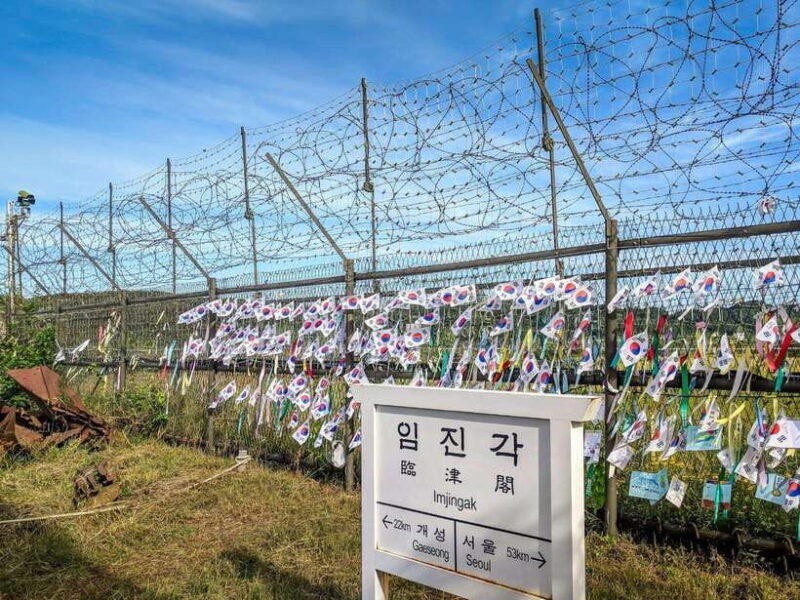 Seoul: DMZ, 3rd Tunnel, Odusan or Suspension Private Tour - Why Guides Make the Difference