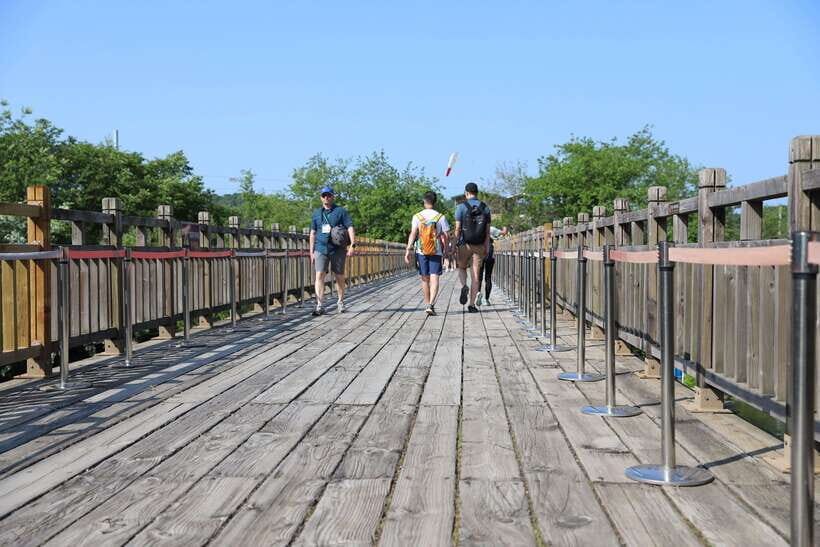Seoul: DMZ The 3rd Tunnel and Suspension Bridge Tour - The Sum Up