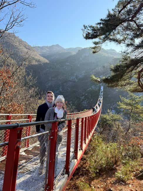 Seoul: DMZ Tour & North Korean Defector Meet Up (As Add-on) - Authenticity and Guide Expertise