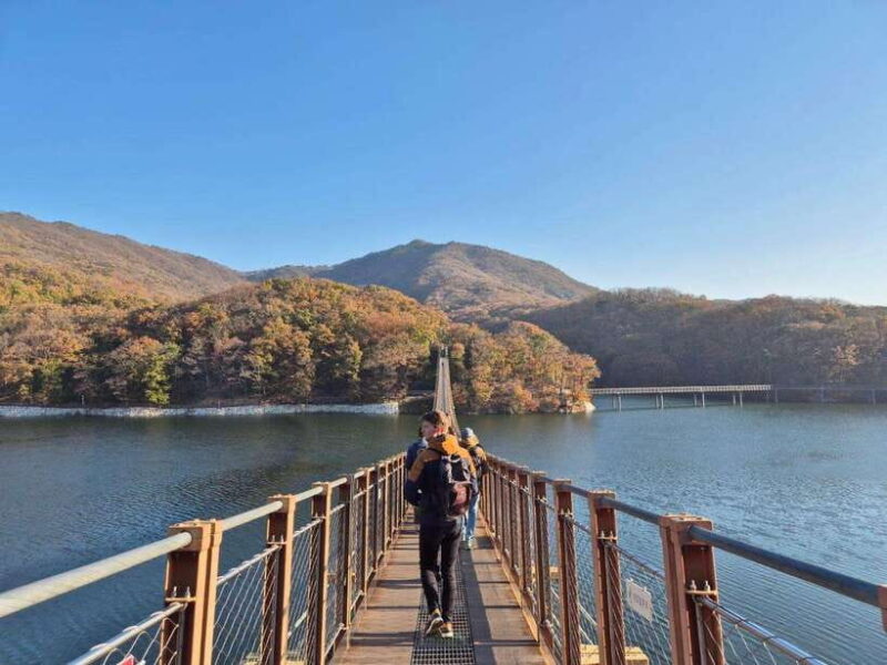 Seoul: DMZ Tour & North Korean Defector Meet Up (As Add-on) - Transportation & Group Dynamics