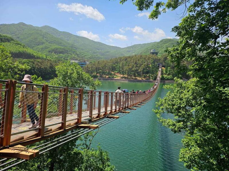 Seoul: DMZ Tour & North Korean Defector Meet Up (As Add-on) - Pricing & Value