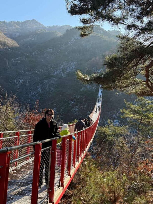 Seoul: DMZ Tour & North Korean Defector Meet Up (As Add-on) - The Sum Up