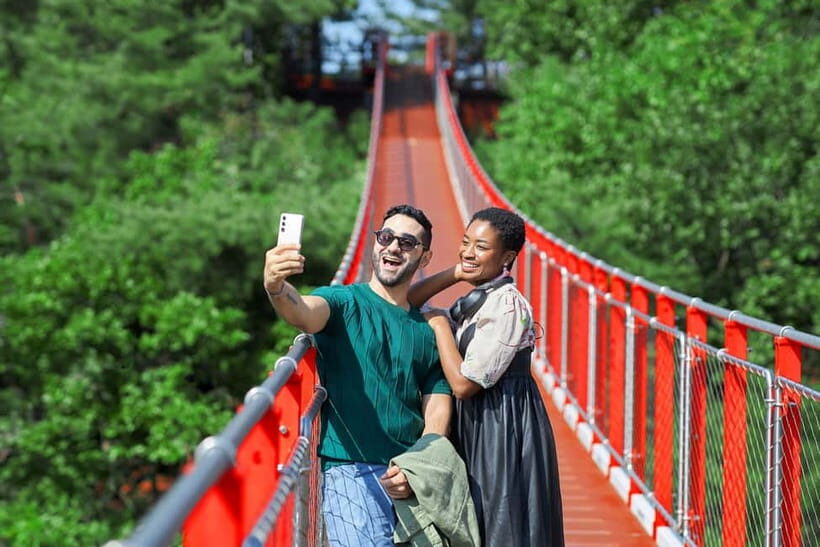 Seoul: DMZ Tour & Suspension Bridge (Option English/Spanish) - Key Points