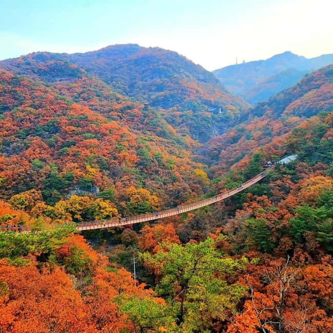 Seoul: DMZ Tour with 3rd Tunnel and Suspension Bridge Tour - The Itinerary in Detail