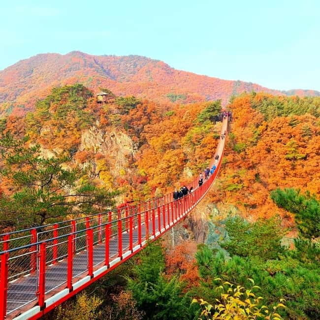 Seoul: DMZ Tour with 3rd Tunnel and Suspension Bridge Tour - Final Thoughts