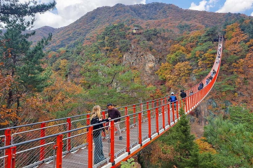 Seoul: DMZ with Optional Suspension Bridge & Gondola - Key Points