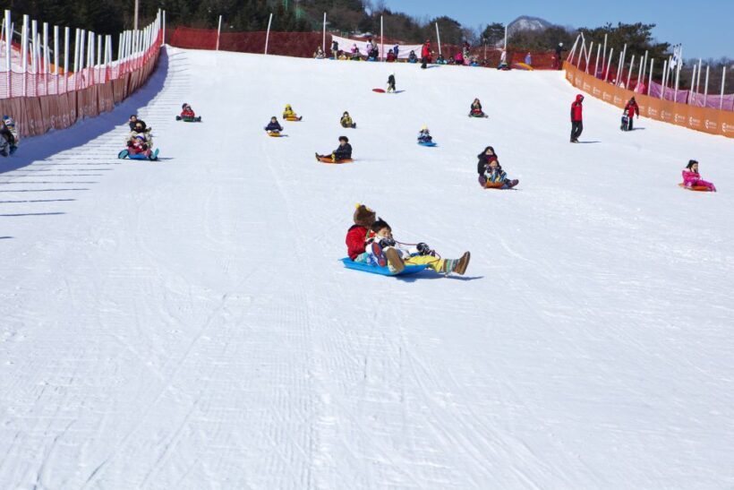 Seoul: Elysian Gangchon Winter Ski Resort Fun Day Tour - A scenic snow escape just 90 minutes from Seoul