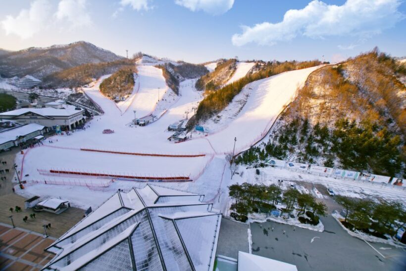 Seoul: Elysian Gangchon Winter Ski Resort Fun Day Tour - Practical details: what to expect on the day
