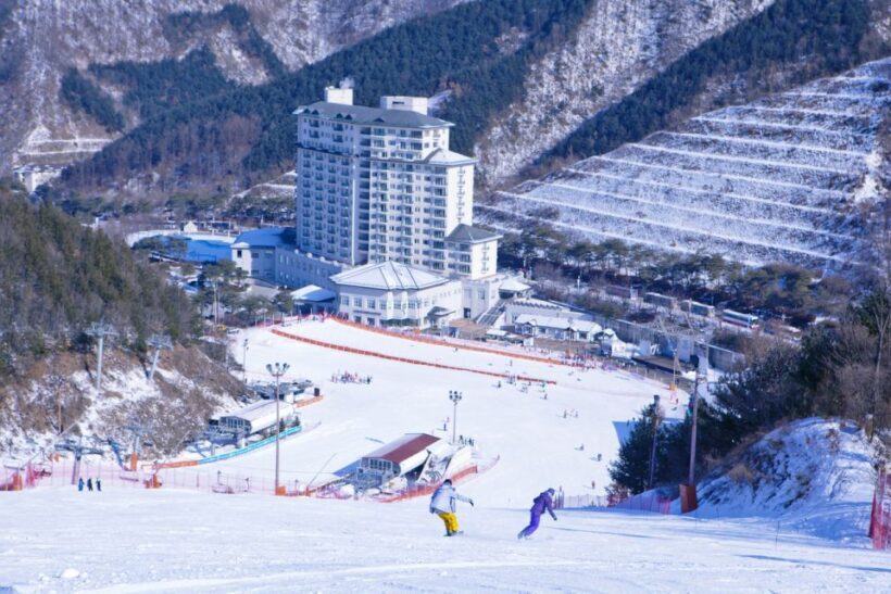 Seoul: Elysian Gangchon Winter Ski Resort Fun Day Tour - Final thoughts: who should consider this tour?