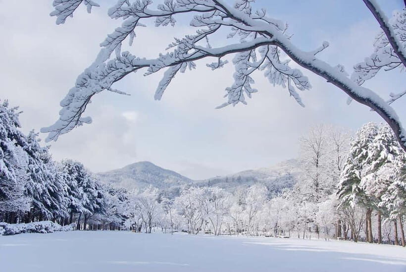Seoul: Elysian Gangchon Winter Ski with Nami Island Day Tour - The Itinerary: What to Expect from Dawn to Dusk