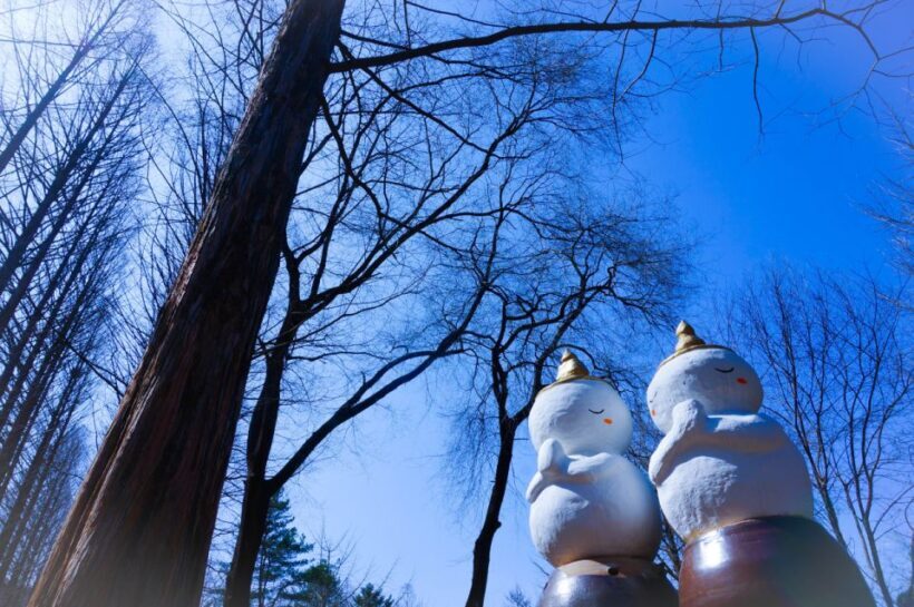 Seoul: Elysian Gangchon Winter Ski with Nami Island Day Tour - FAQ