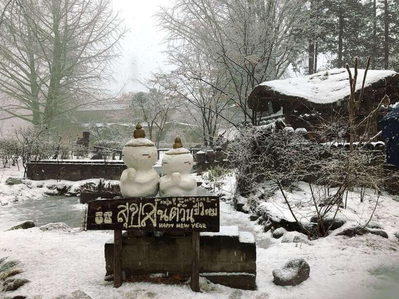 Seoul: Elysian Ski + Eobi Ice Valley + Nami - An Overview of the Tour Experience