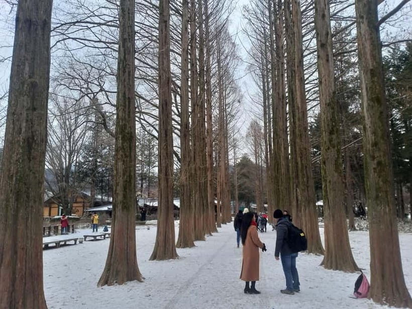 Seoul: Elysian Ski + Eobi Ice Valley + Nami - Is This Tour Right for You?