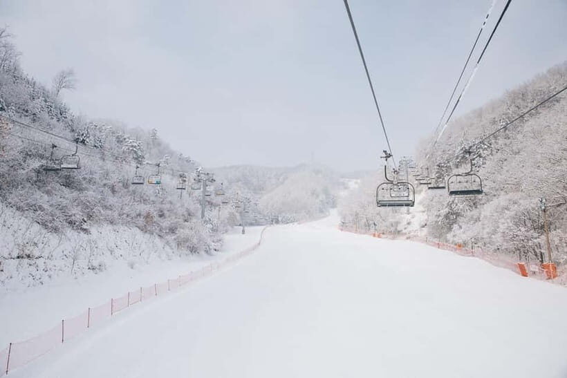 Seoul: Elysian Ski Resort & Eobi Ice Valley - The Itinerary and What You Can Expect