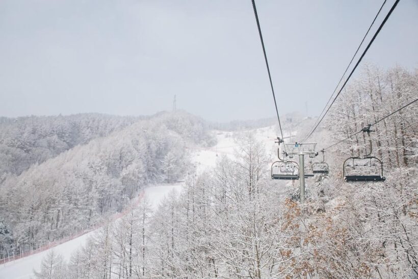 Seoul: Elysian Ski Resort & Eobi Ice Valley - Final Thoughts