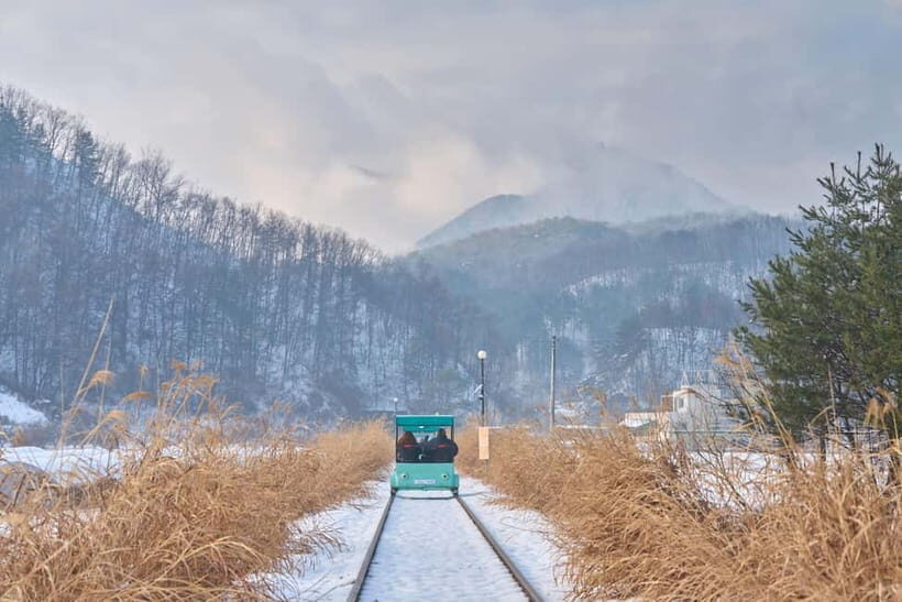 Seoul: Eobi Valley(Winter), Strawberry, Nami Island and Bike - Detailed Overview of the Tour