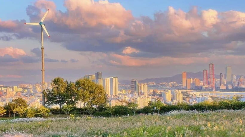 Seoul Full-Day City Tour: Hanok Village, Scenic Routes - The Experience: A Day Well Spent
