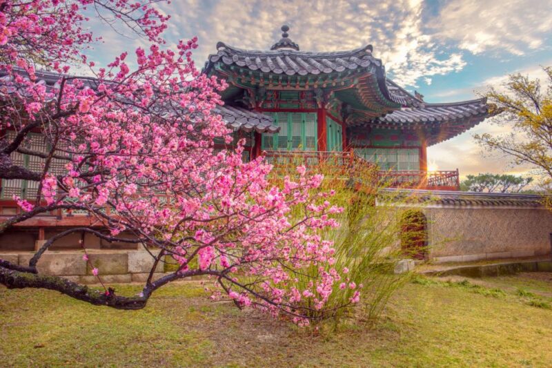 Seoul: Gyeongbok Palace and Bukchon Hanok Walking Tour - Why This Tour Offers Great Value