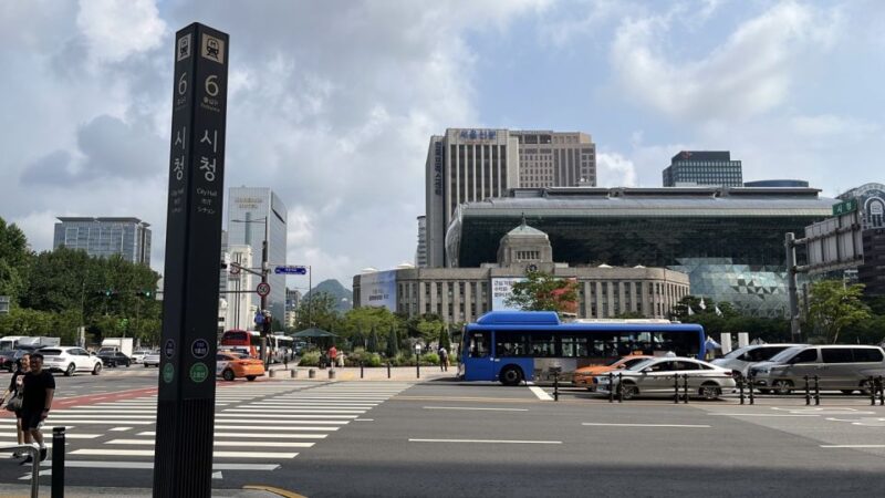 Seoul: Gyeongbok Palace and Bukchon Hanok Walking Tour - The Guide Experience: Why It Matters