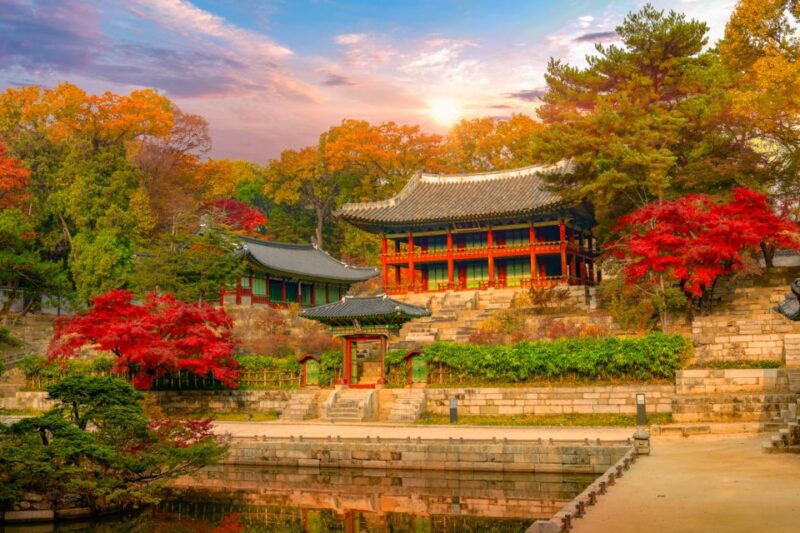 Seoul: Gyeongbok Palace and Bukchon Hanok Walking Tour - Who Should Consider This Tour?