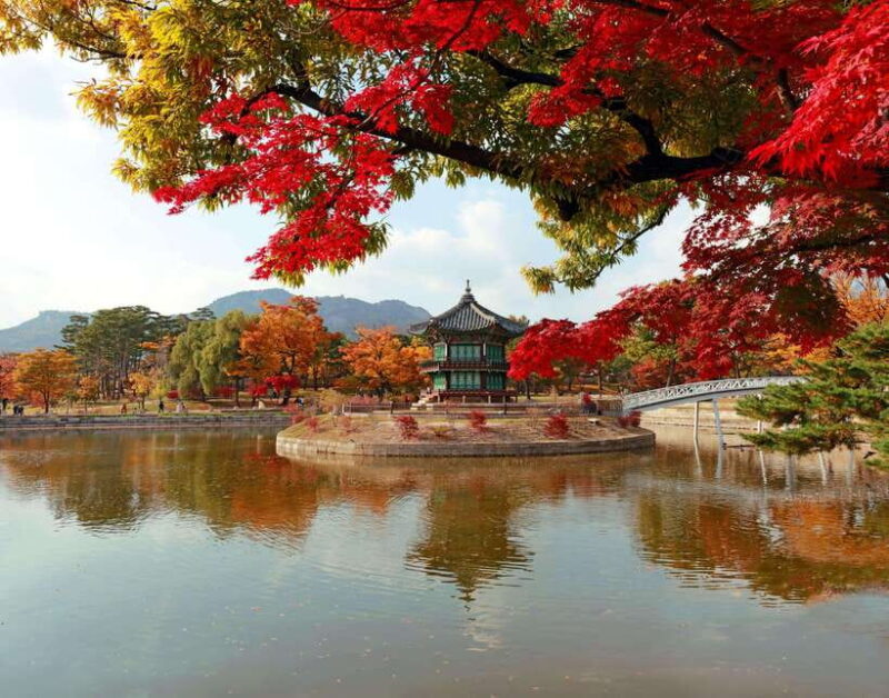 Seoul: Gyeongbok Palace, N Seoul Tower (with Cable Car) - Who Should Consider This Tour?