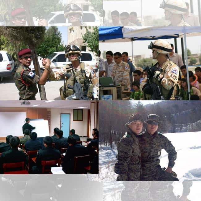 Seoul: Half-Day DMZ Tour Led by a Retired Military Officer - An In-Depth Look at This DMZ Tour