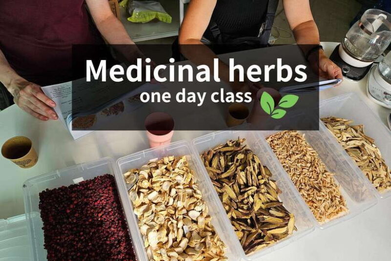 Seoul: herbal tea class & Korean Medicine tour - Key Points