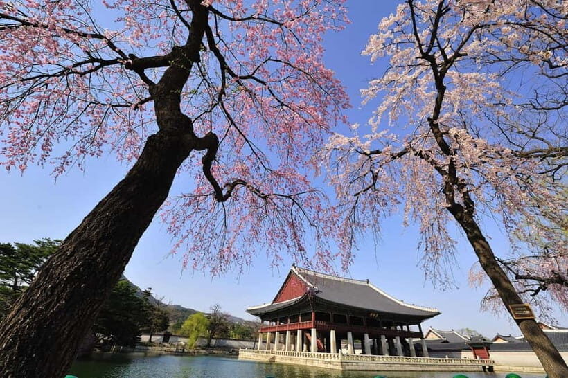 Seoul: Highlights of Seoul Full-Day Tour - A Well-Organized Introduction to Seoul