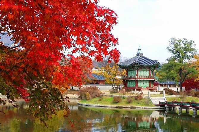 Seoul Highlights Seoul Must See {Private Tour} - Evening at Hangang Park and the Rainbow Fountain Show