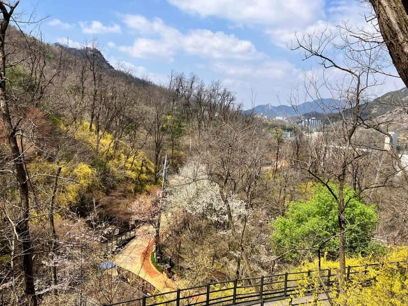 Seoul: Hiking Ansan Jarak-gil Trail & Makgeolli Experience - Exploring Seoul’s Hidden Natural Gem: Ansan Jarak-gil Trail & Makgeolli Experience